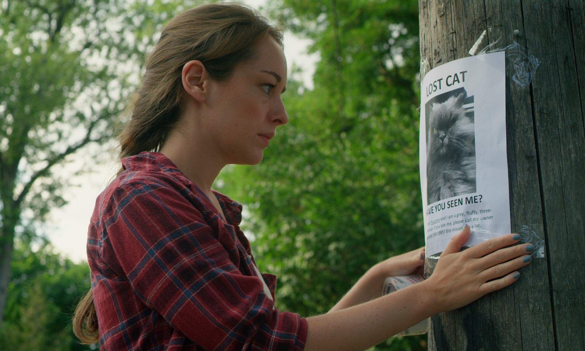Premiere Heavy Petting By Brendan Prost Directors Notes